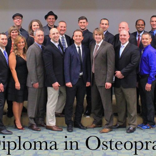 2015 in Review: AAMT Fellowship & the Diploma in Osteopractic - Spinal ...